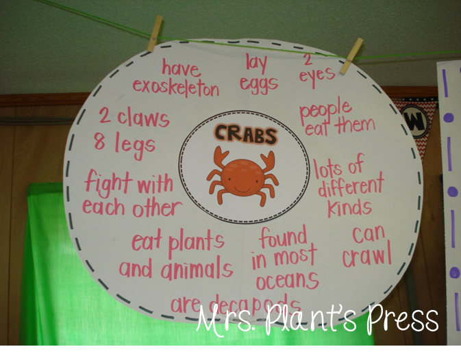 Ocean Fun! - Primary Press