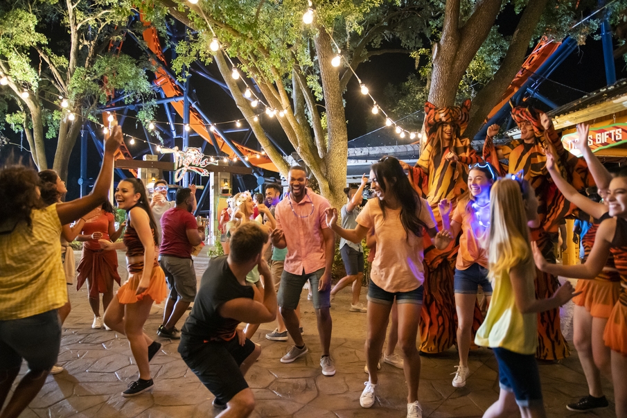Summer Nights Event Returns to Busch Gardens Tampa Bay on May 31 ...