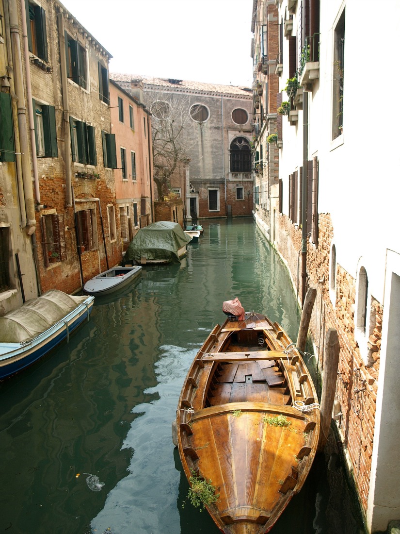 Venice » This Little Miggy