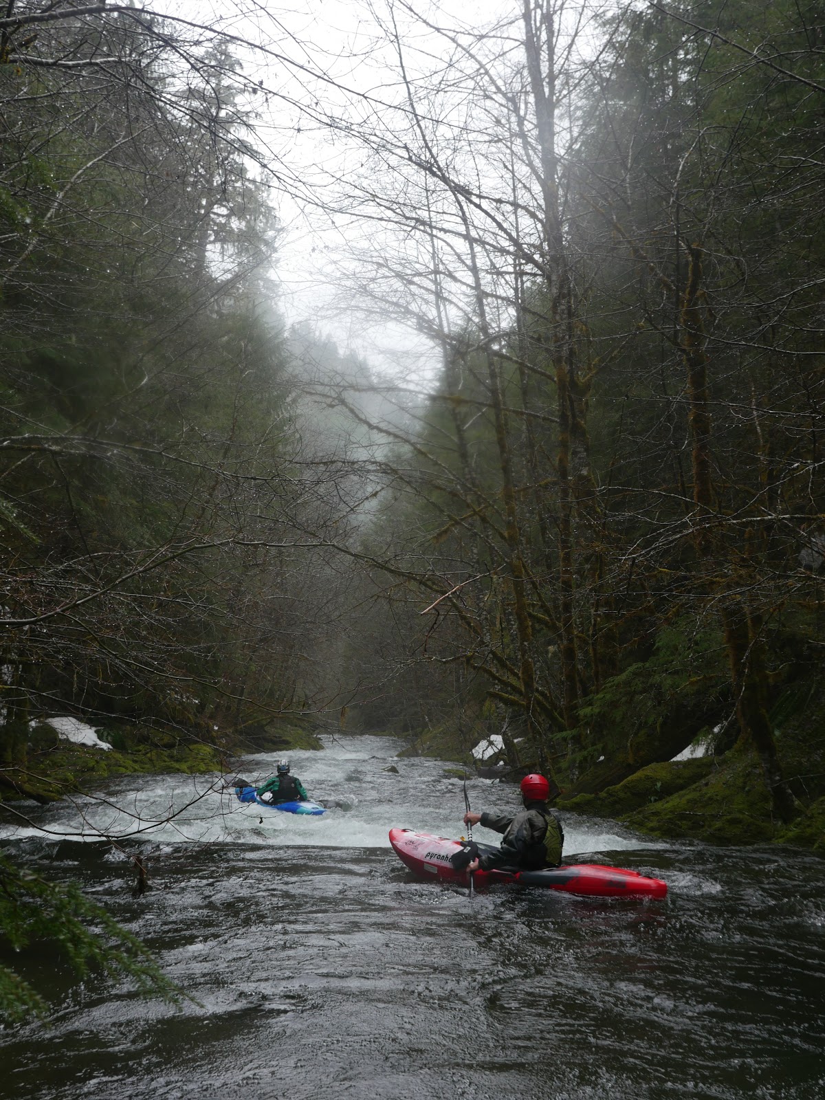 Into the Outside: Calapooia River: Headwaters