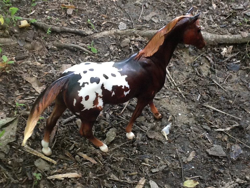 The Breyer Blog: Realistic Breyer Photography