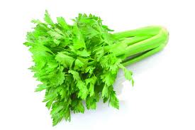 manfaat sayuran seledri untuk kesehatan ~ Yang Ku Suka