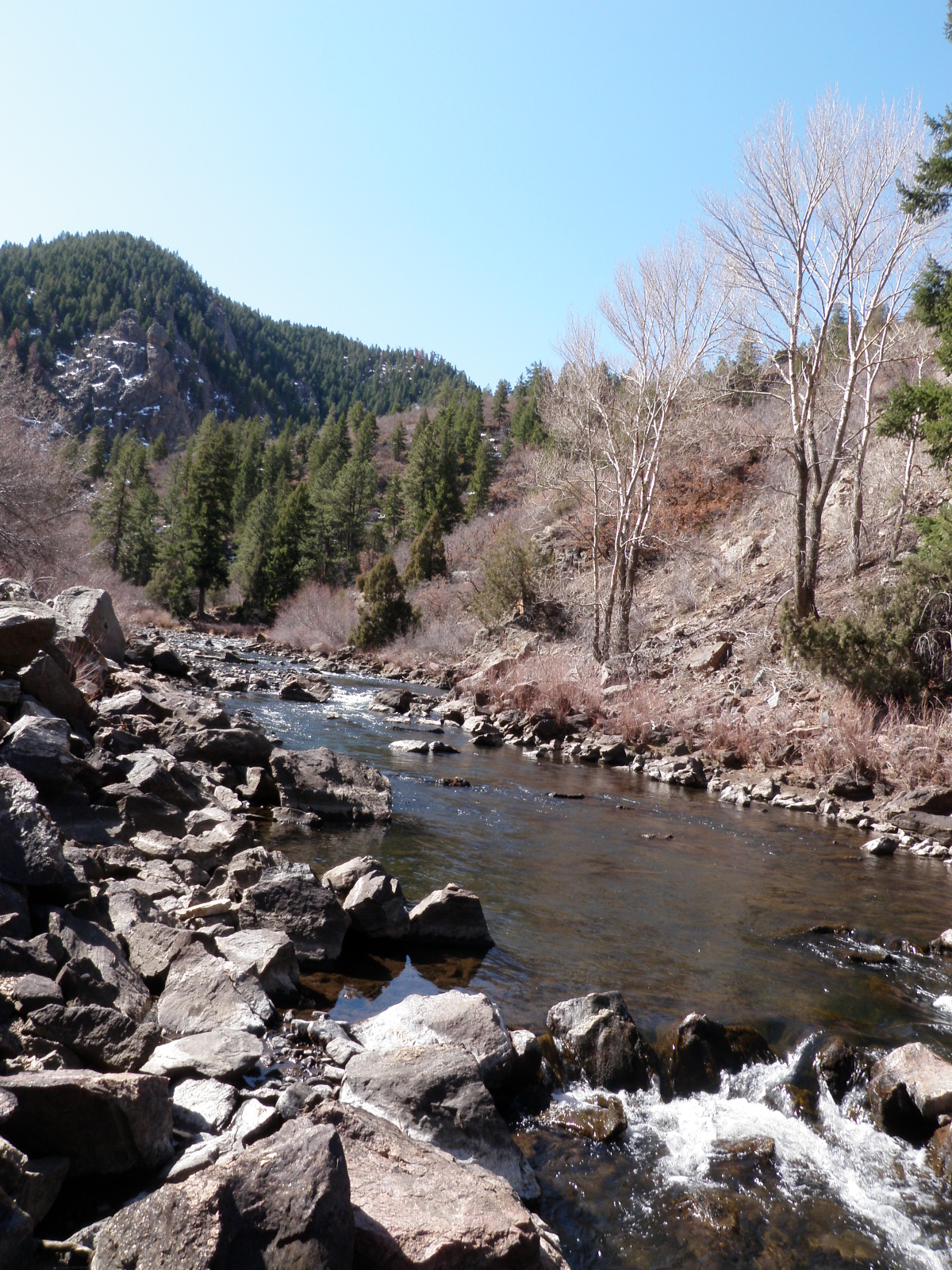 Tenkara on the Fly: Waterton Canyon