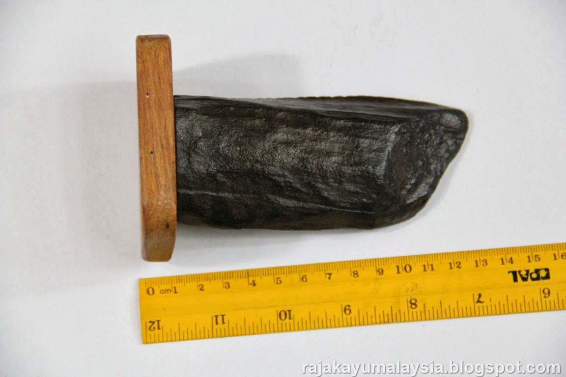 Raja Kayu Malaysia: Top Quality Malaysia Kayu Kemuning Hitam / Black ...