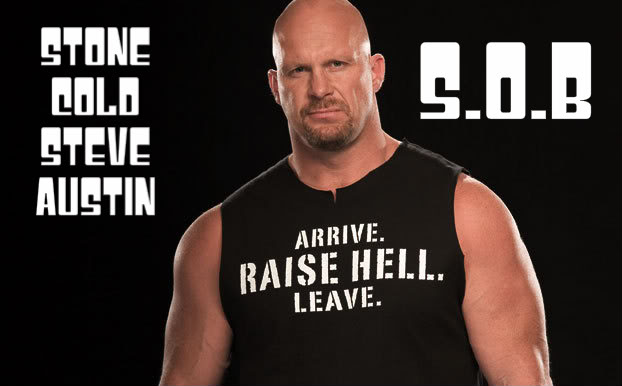 WORLD WRESTLING ENTERTAINMENT: American Professional Wrestler