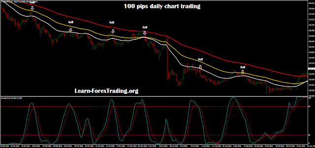 100 pips daily chart trading