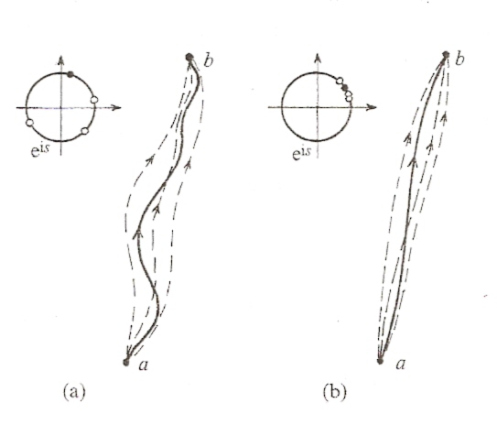 MuonRay: The Path Integral Interpretation of Quantum Mechanics