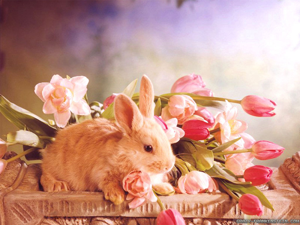Free Happy and Cute Easter wallpaper ~ HD Wallpapers