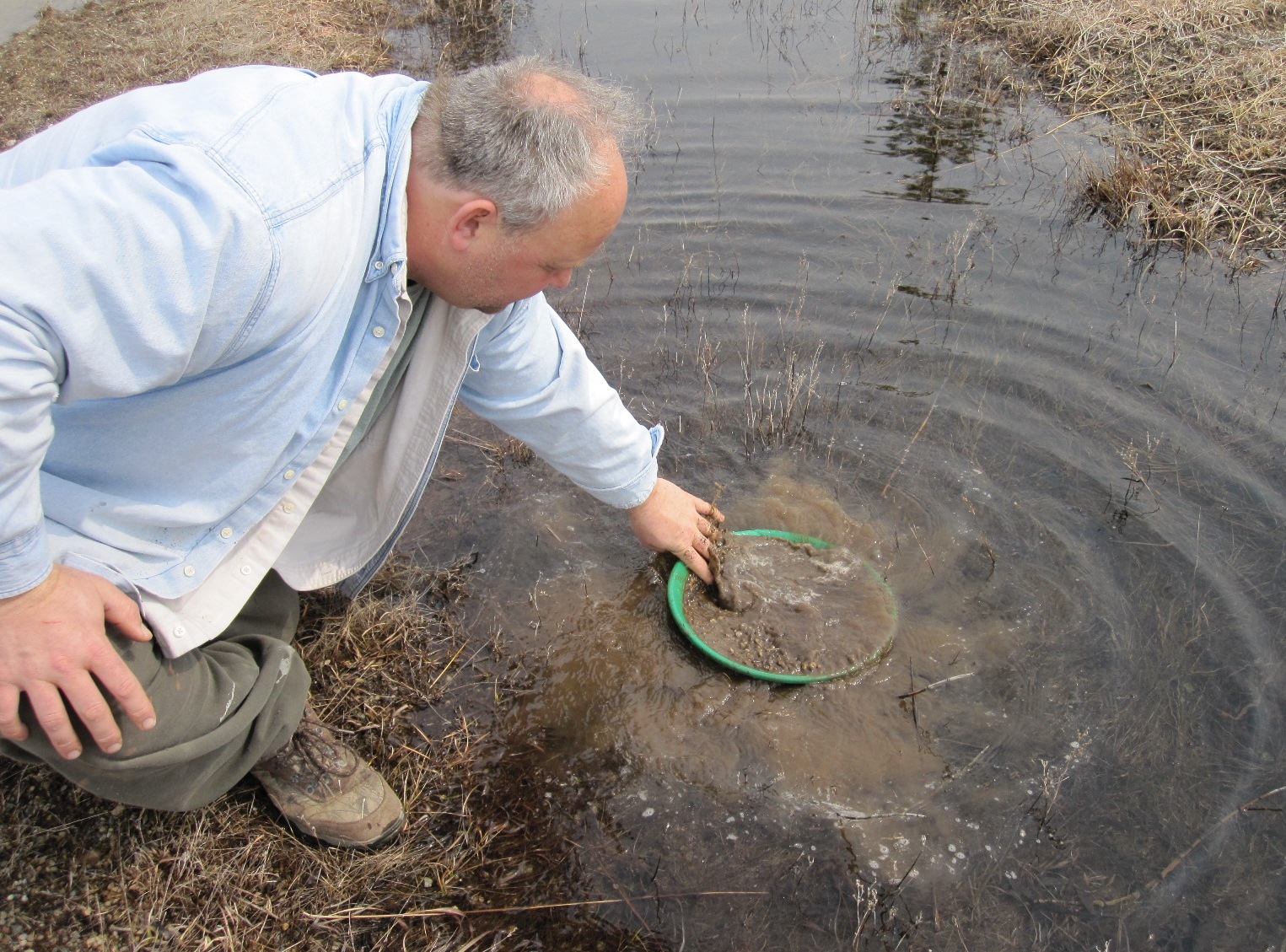 Gems of Michigan: Oakland County Michigan Gold!