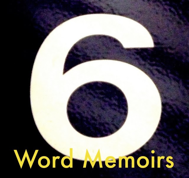 eduflections: Can You Assess in Six Words...No Less?