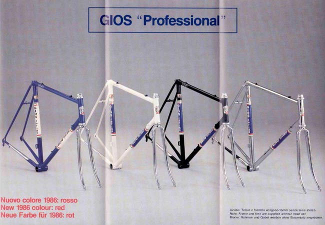 Le bici di Luca: Identifying features of the GIOS Torino bicycle frames
