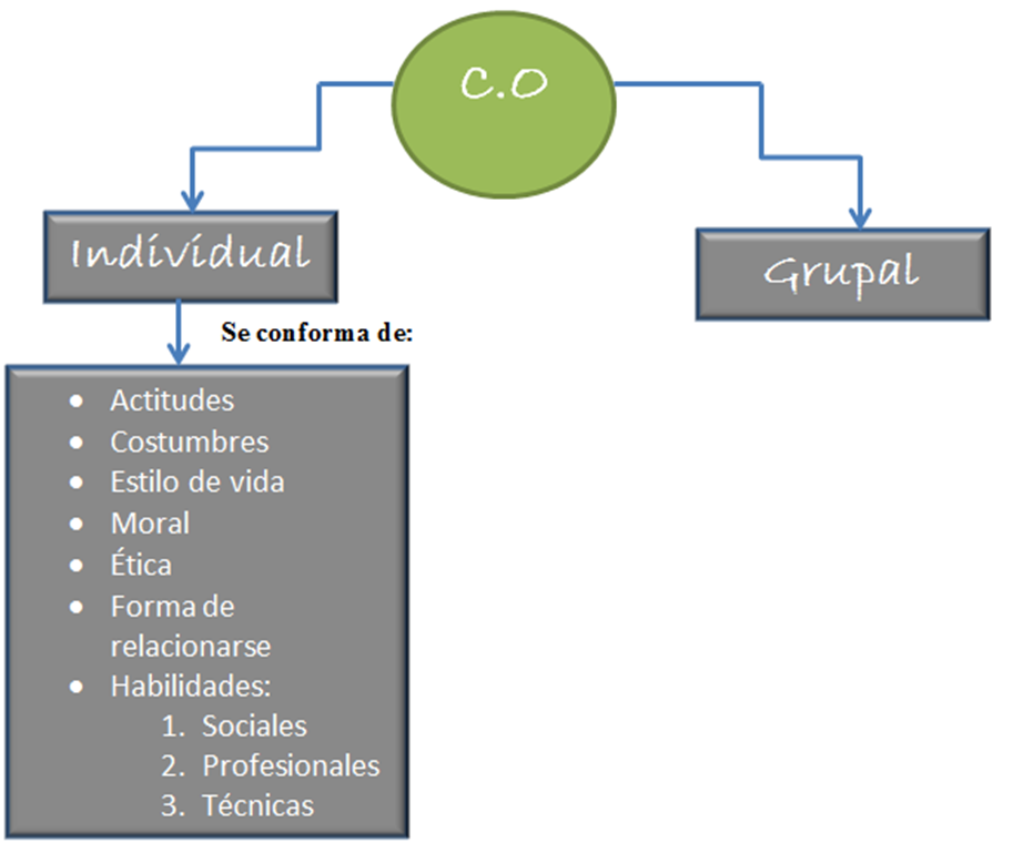 Alexandra Rocha: Modelos del CO