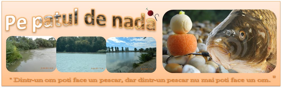 Pe patul de nada: Pescuitul la guvizi