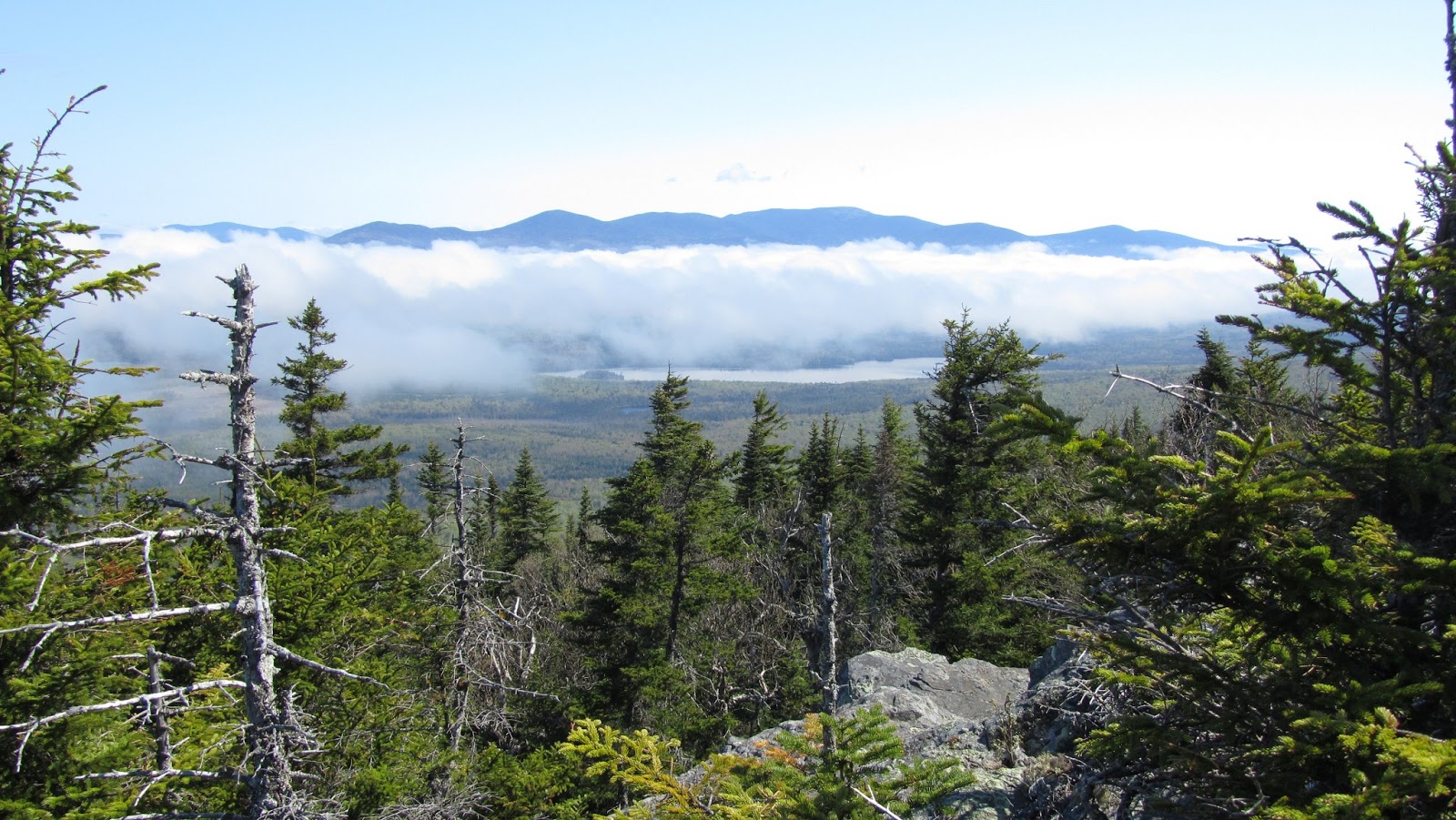 Tomcat's Outdoor Adventures: Barren Mountain Hike