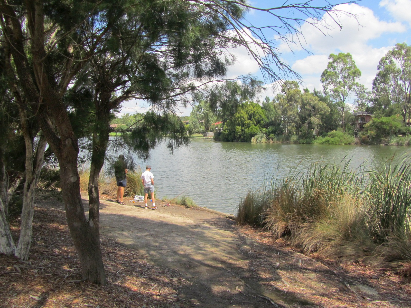 TRACKS, TRAILS AND COASTS NEAR MELBOURNE : Rowville Lakes