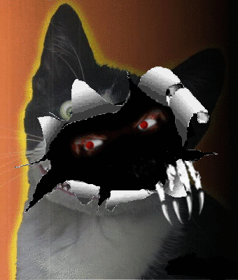 Vampire Kat