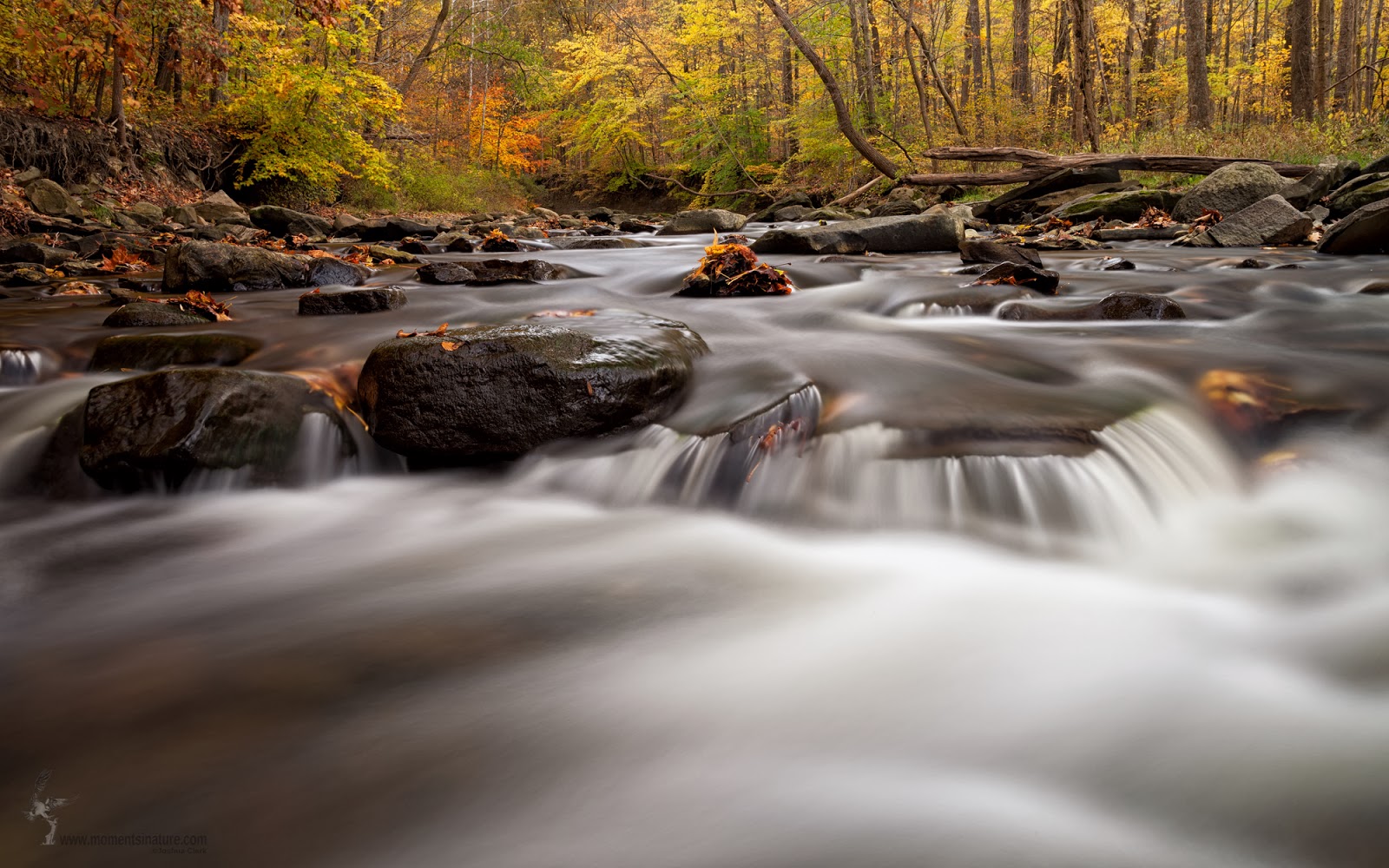 Joshua Clarks': Journeys in Nature Photography: Autumn in Ohio