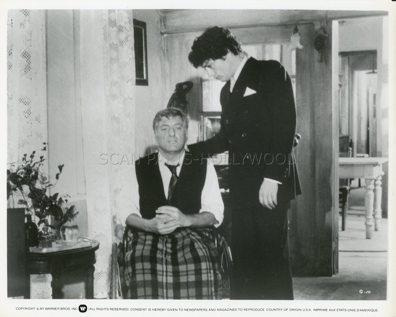 ALAIN DELON: FILMS POLICIALES II. POLICE FILMS