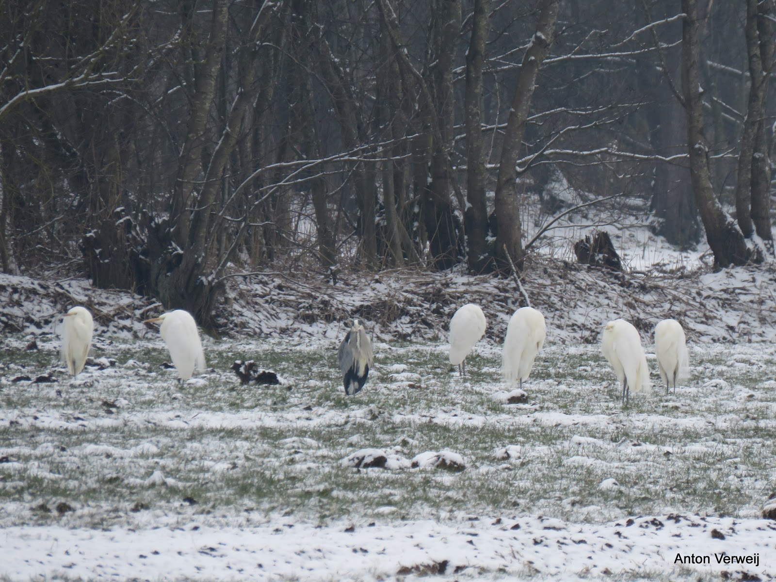 God is in de stilte: Koud hè?