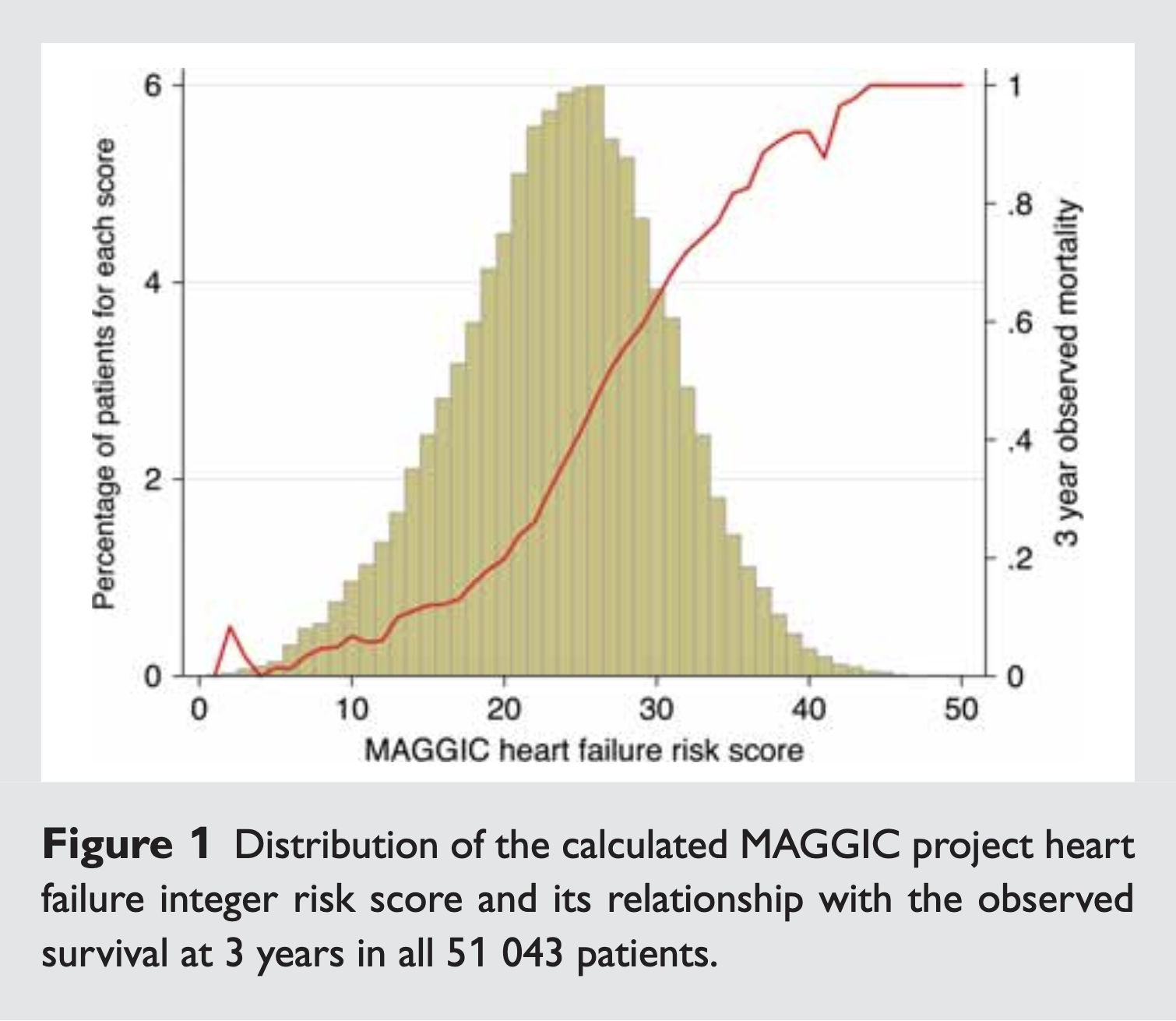 松下 ER ランチ・カンファレンス: MAGGIC risk score