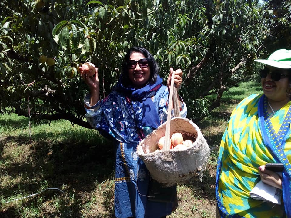 Swat Peach Farms Tour -28-07-2018