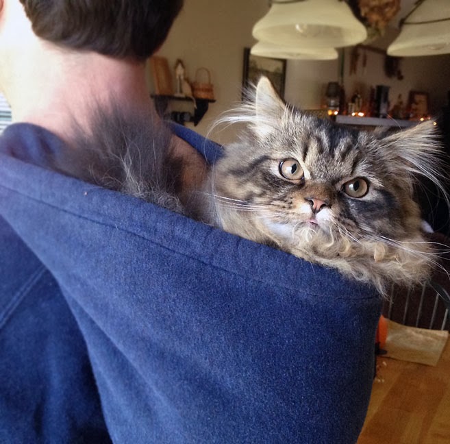 Moonraker Lampwerks: FA LA LA LAaaaAAaaaa!