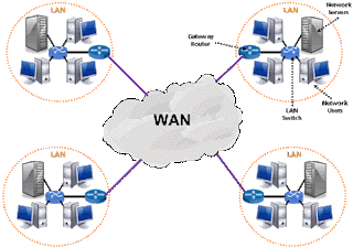 Network Lessons: Introduction to LAN, WAN and MAN
