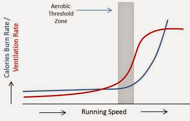 Maximum Performance Running: 8 Stamina Building Workouts