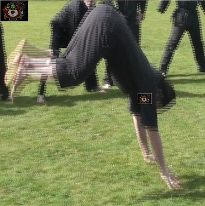 MY JOURNEY: Tenggiling Anak Harimau - The Training Concept.