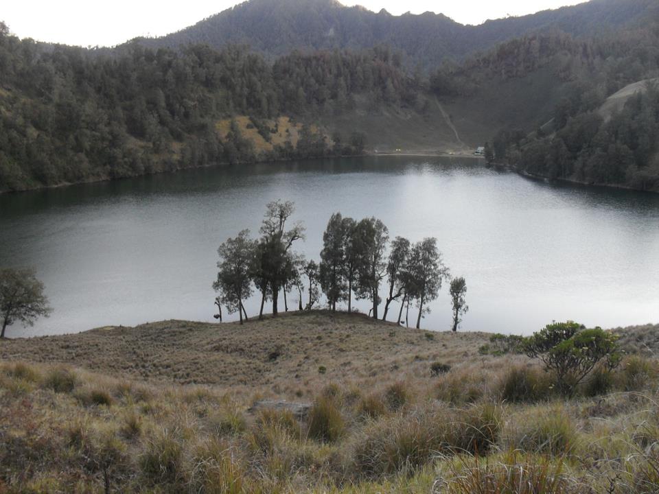 Ranu Kumbolo Yang Menenangkan Hati | BELANTARA INDONESIA