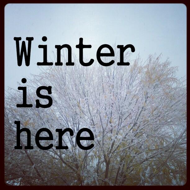 BrightSide Design and Stuff: It's officially winter.