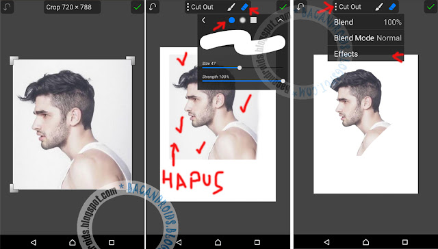 Cara Mudah Edit Foto Efek Siluet Dengan Picsay Pro - DansPedia