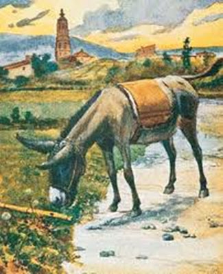 El Asno - Simbologia - - Las Revelaciones del Tarot