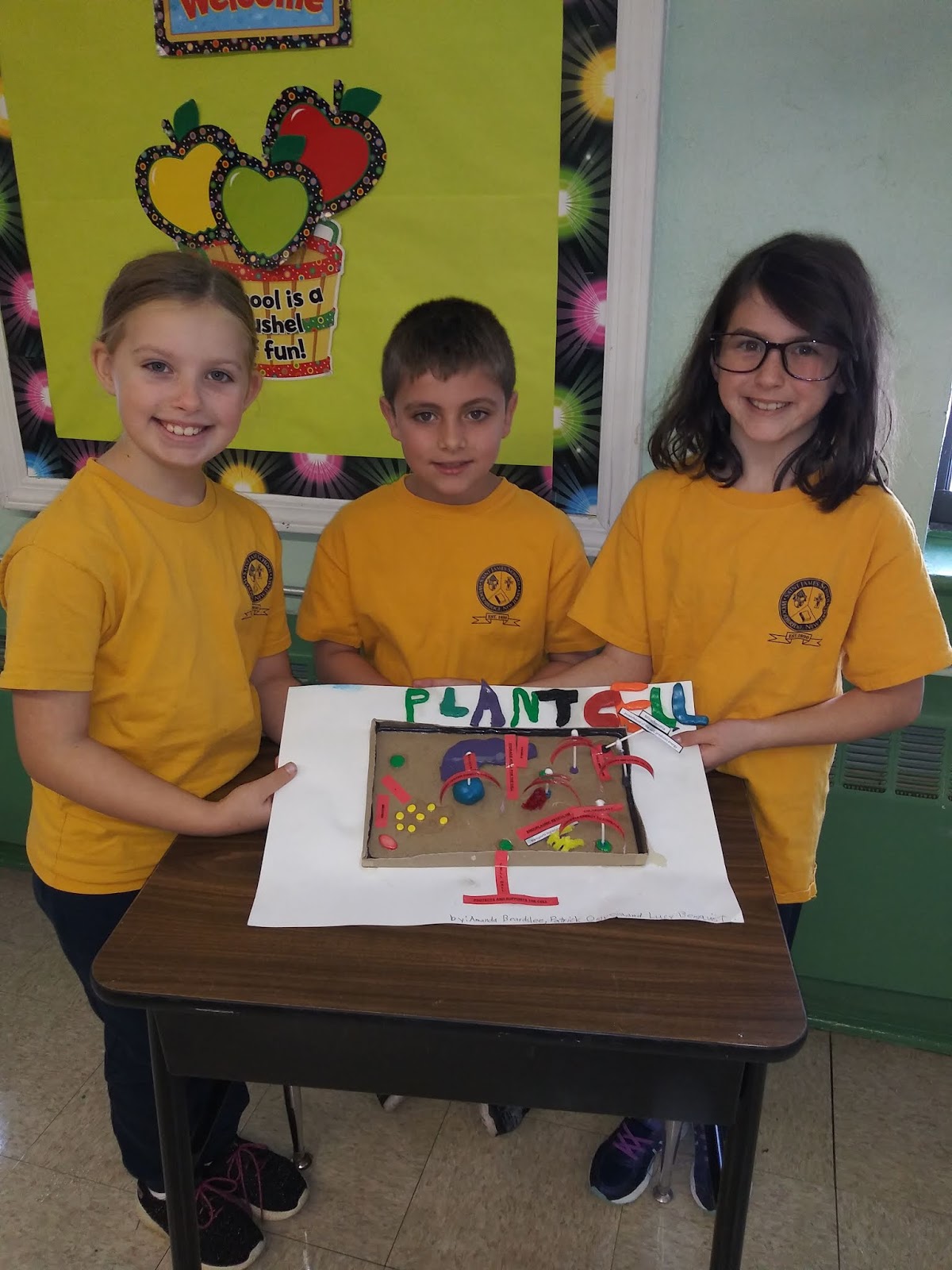 Terrific Third Graders: Plant Cells