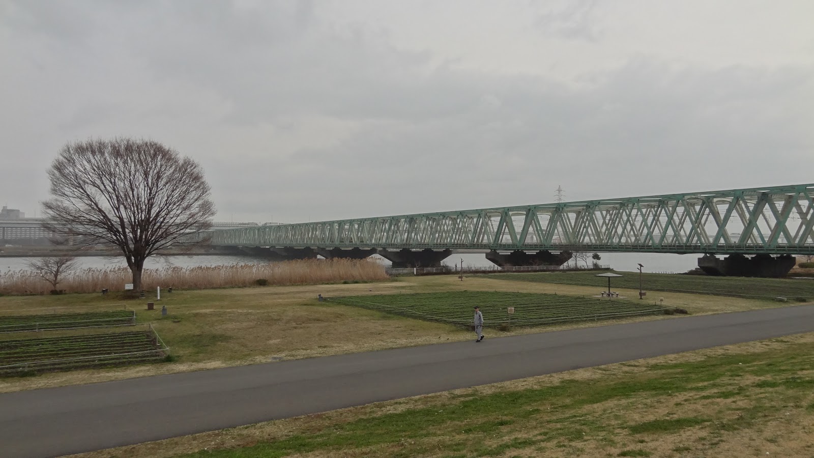 Bridge of the Week: Tokyo, Japan's Bridges: Arakawa Ohashi Sobuhansen