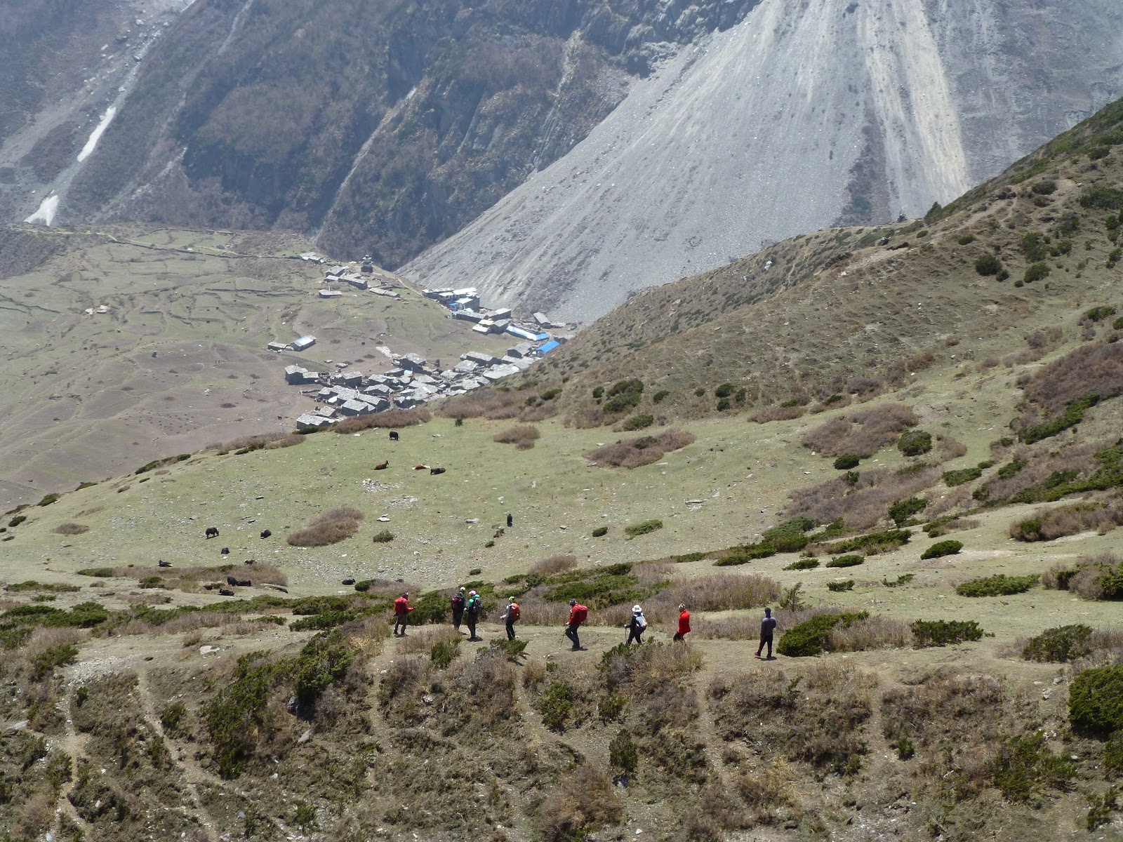 Axel unterwegs: Nepal Reise 2016-8.Etappe Samdo–Samdo Peak Vorgipfel ...