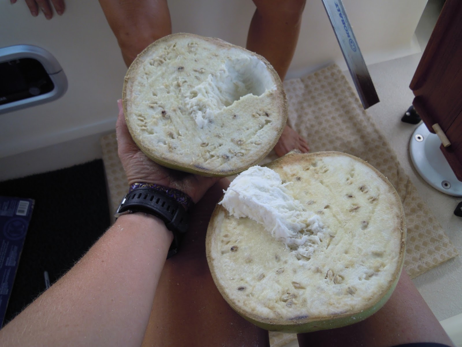 Wildcat Sailorgirl: Calabash Carving