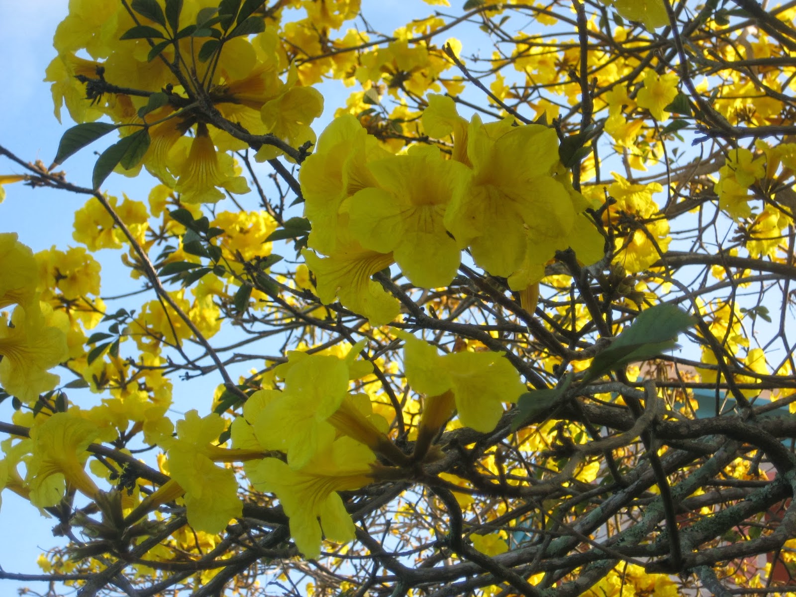 Walk In The Park: February 2014