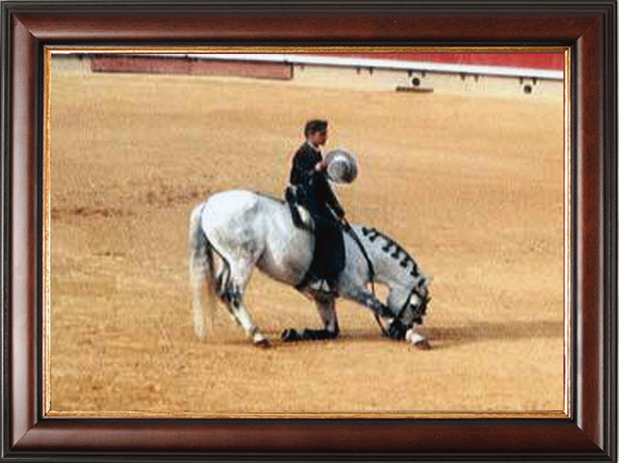 tauromaquia: El Rejoneo