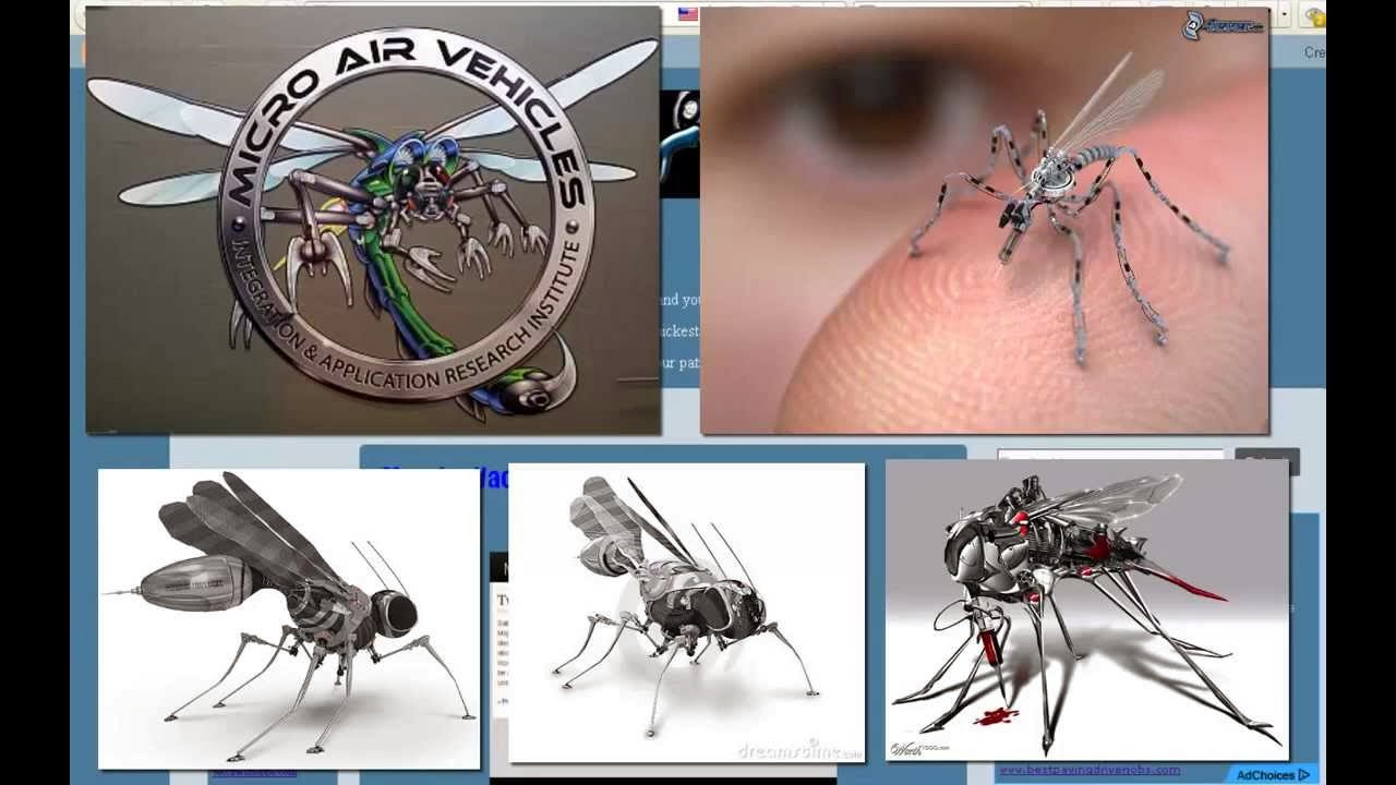 Noticiero Vuelos de Águila: EE.UU. desarrolla “UAV Nano Letal ...