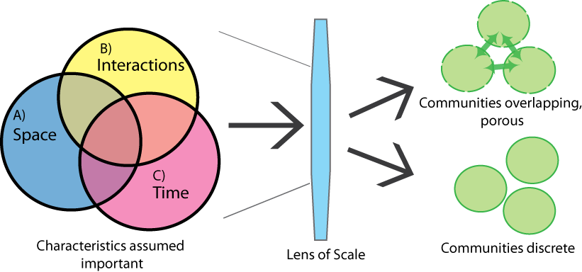 The EEB & Flow: A multiplicity of communities for community ecology