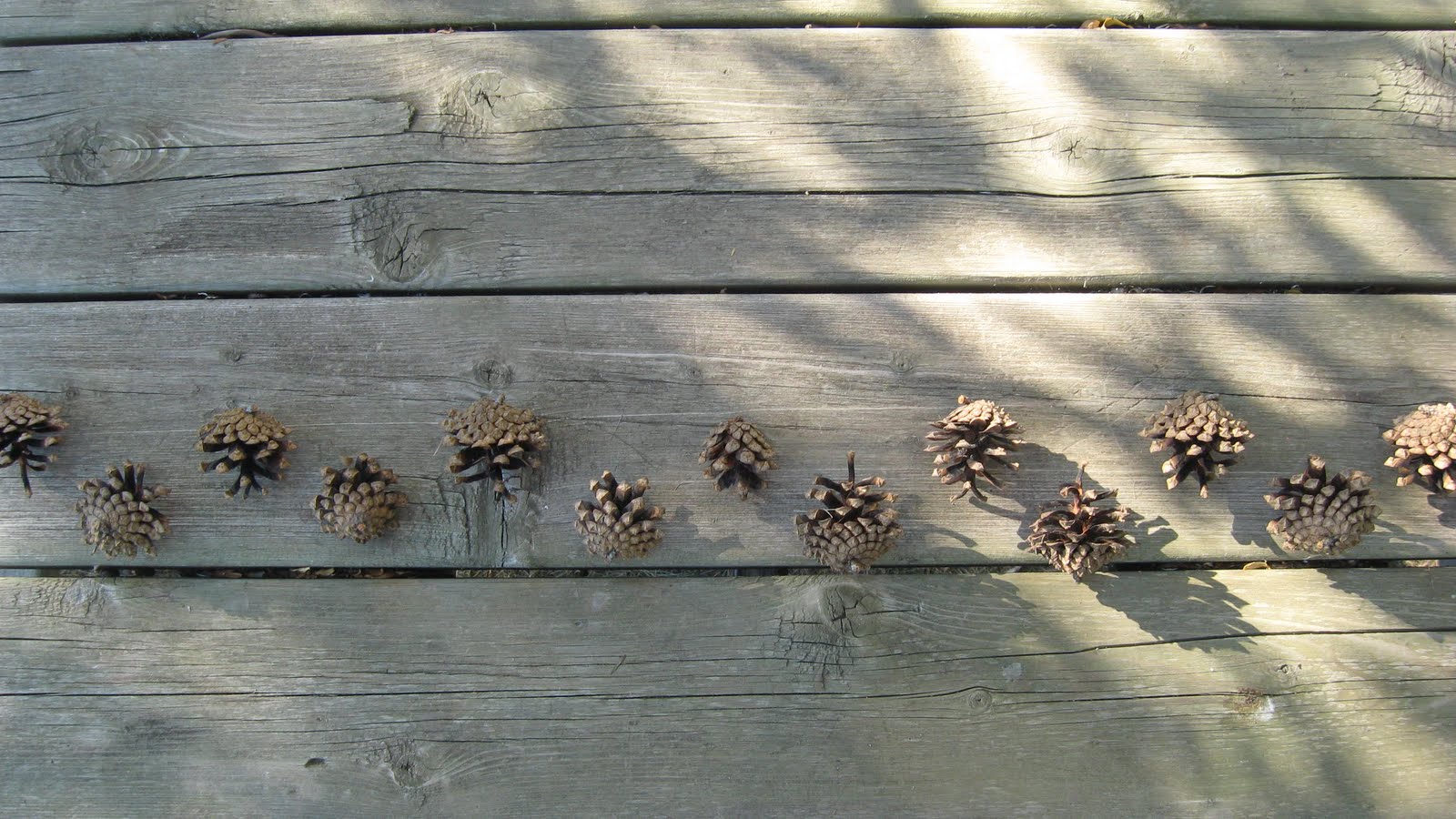 Nicholas' Photography: Elements and Principles of Design in Photography ...