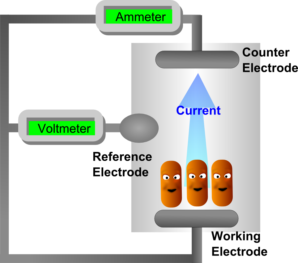 Memoirs of a Defective Brain: #MicroTwJC: TCA Cycle and Voltammetry