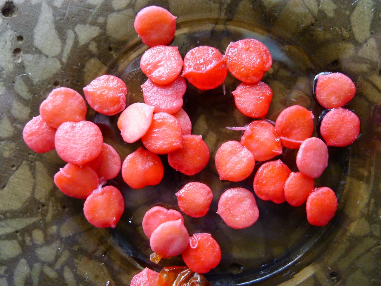 Z Mikrobiologią za Pan Brat: Kalin kakalin kakalinka maja czyli ...