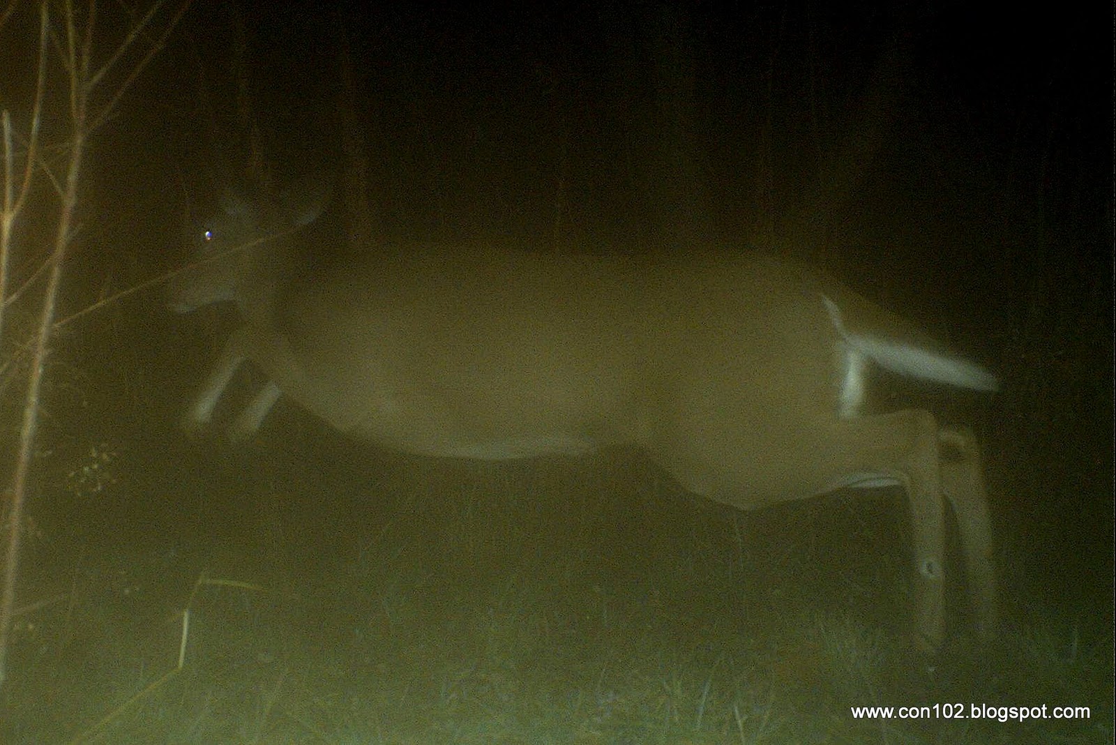 Backyard Beasts: Trying out the Cuddeback Attack IR video