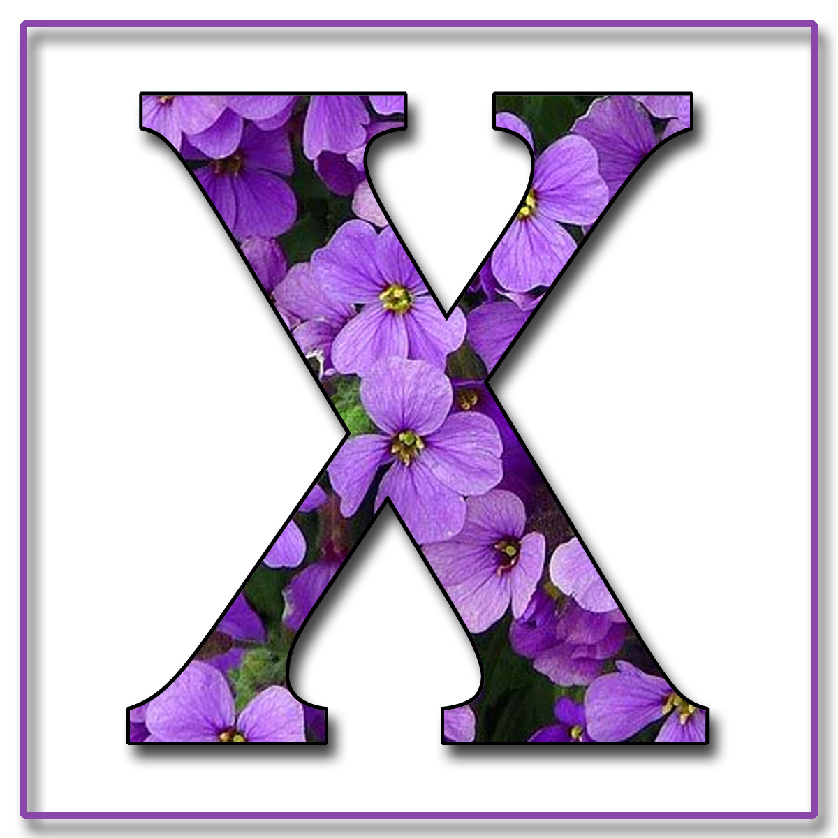 GRANNY ENCHANTED'S BLOG: "Purple Flowers" Free Scrapbook Alphabet ...