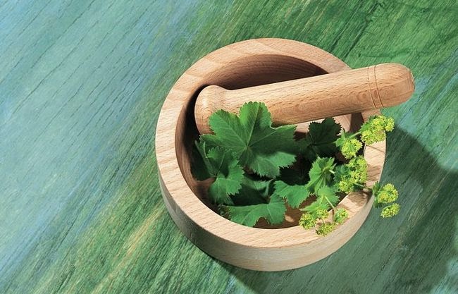 5 Tanaman Herbal Yang Bagus Untuk Kesehatan - ZONA INFOPEDIA