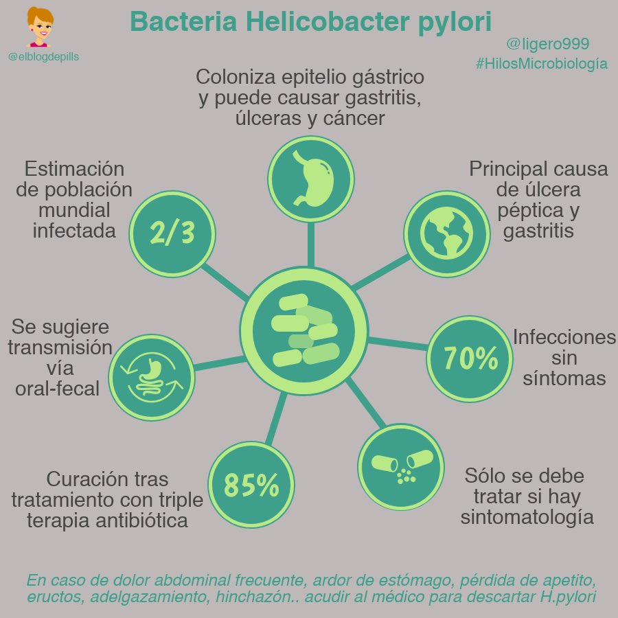 Universo Microbiológico: Helicobacter pylori