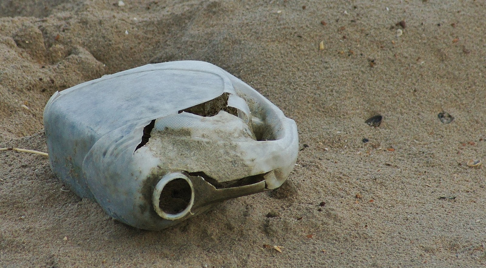 (AWD)....... AMSTERDAMSE WATERLEIDINGDUINEN: Vervuiling Zee