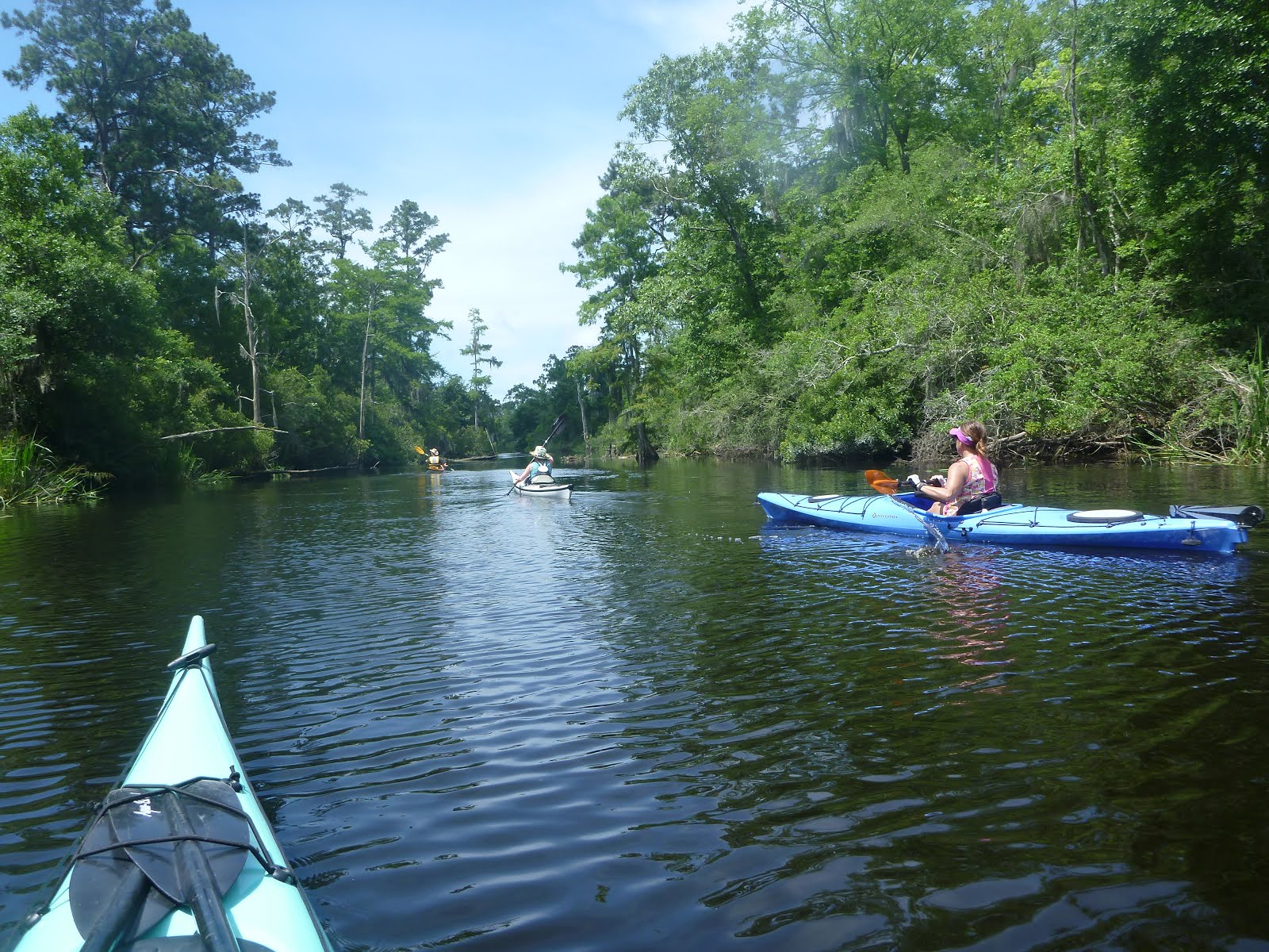 Southeastern Louisiana Paddling: Paddling Cane Bayou (or is it Bayou Cane?)